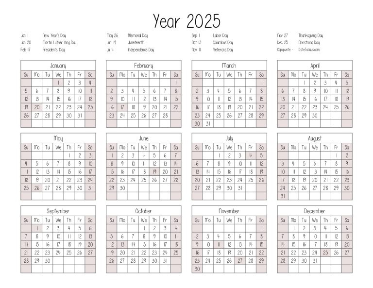 Printable 2025 Calendar with Holidays (12 month on one page)